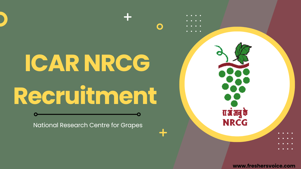 ICAR NRCG Recruitment 2024: Young Professional - II/SRF