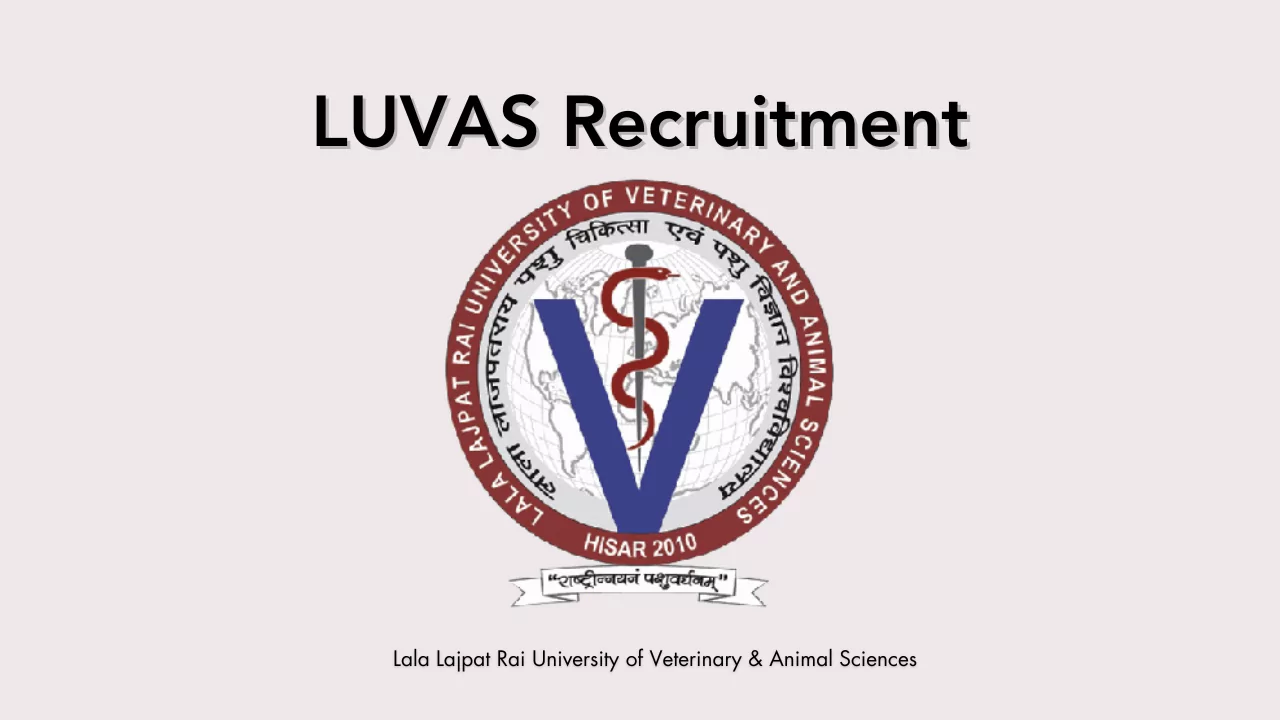 LUVAS Recruitment 2024: 90 Non-Teaching Jobs in Hisar