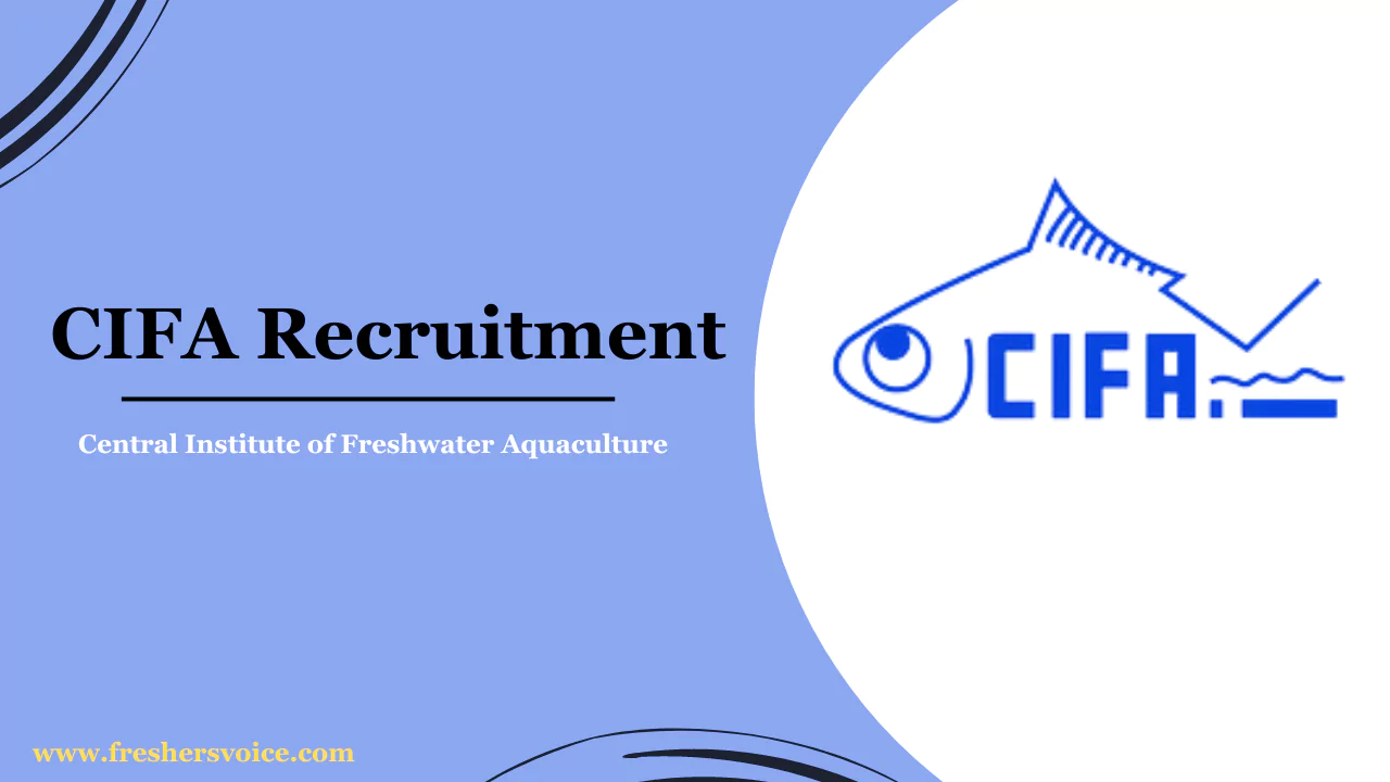 CIFA Recruitment 2024: Apply for Young Professional-II/Field Assistant