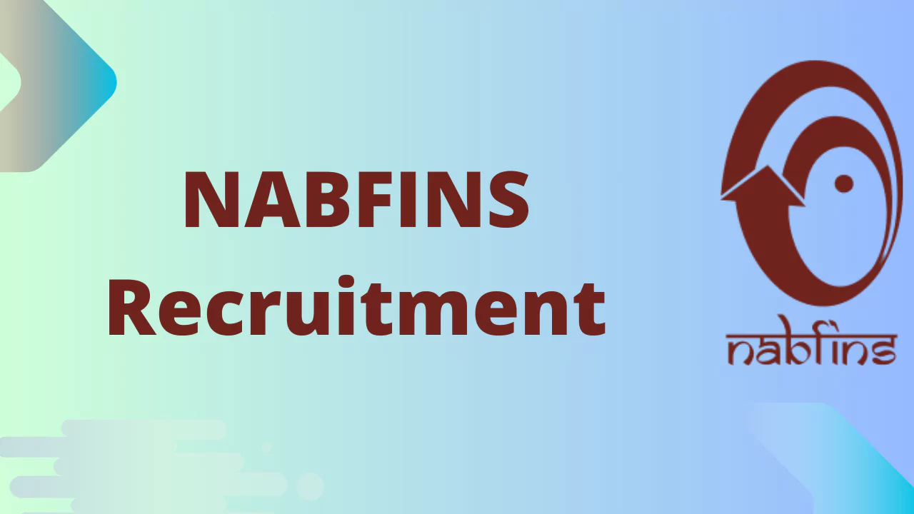 NABFINS Recruitment 2024 - Customer Service Officer/Branch Head