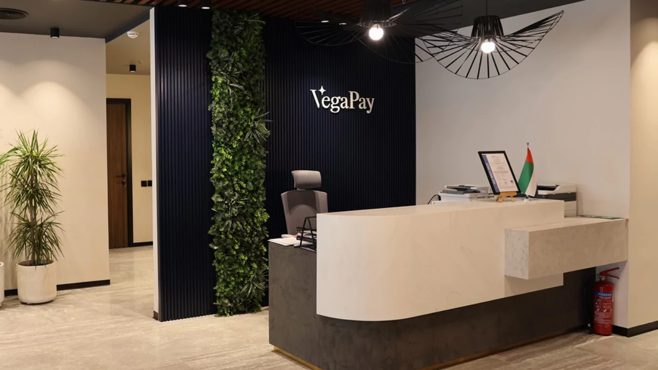 Vegapay Internship 2025: Software Development Intern